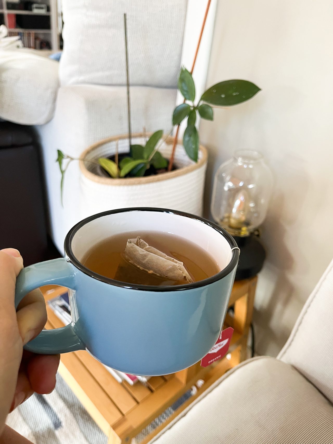 Home Mara Esteban - Mara Esteban